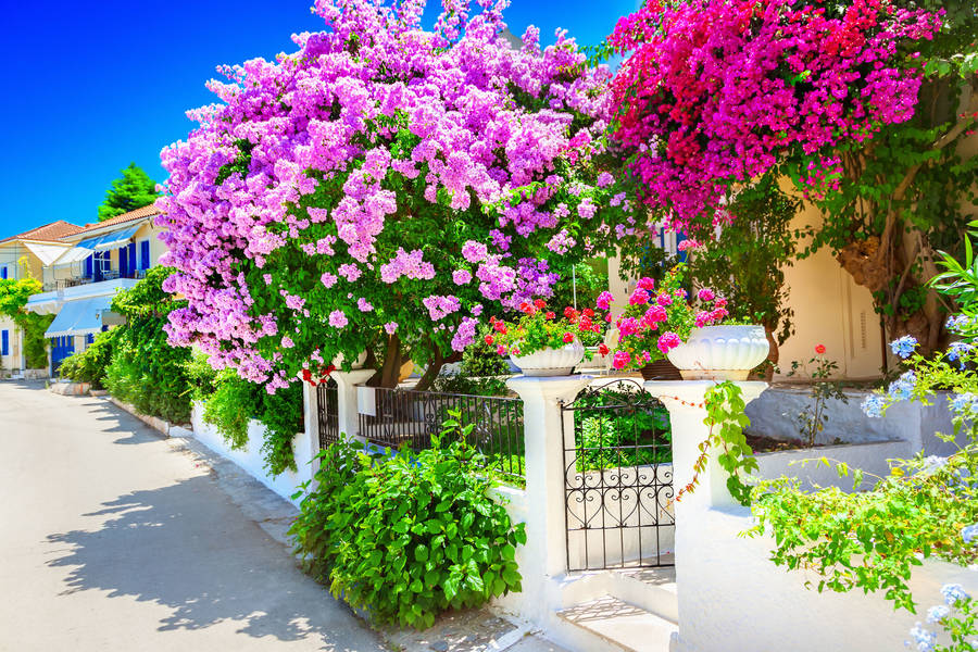 Groot FM live streaming - 90.5 MHz FM, Pretoria, South Africa | Online ...