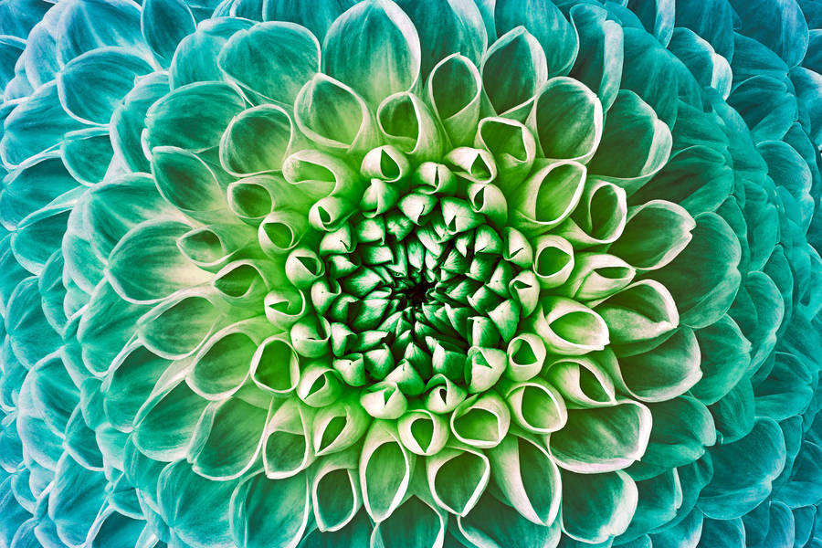 96.3 Real Fun Beach Radio Listen Live - 590 kHz AM, Panama City, United ...