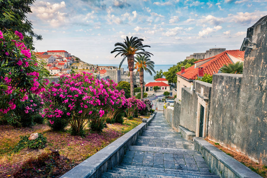 News-Talk 1380 WAOK Listen Live - Atlanta, United States | Online Radio Box