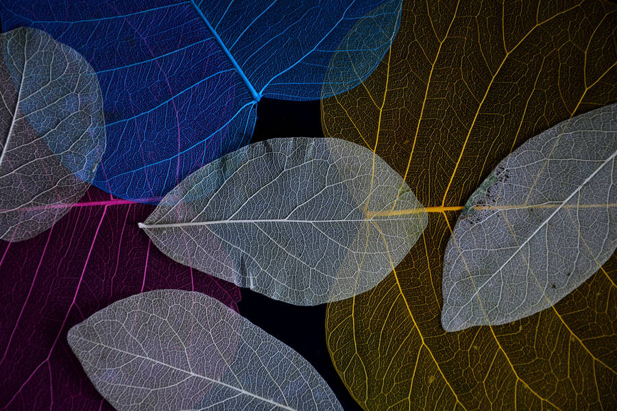 The Cross WTSB 1090 AM Listen Live - Selma, United States | Online ...