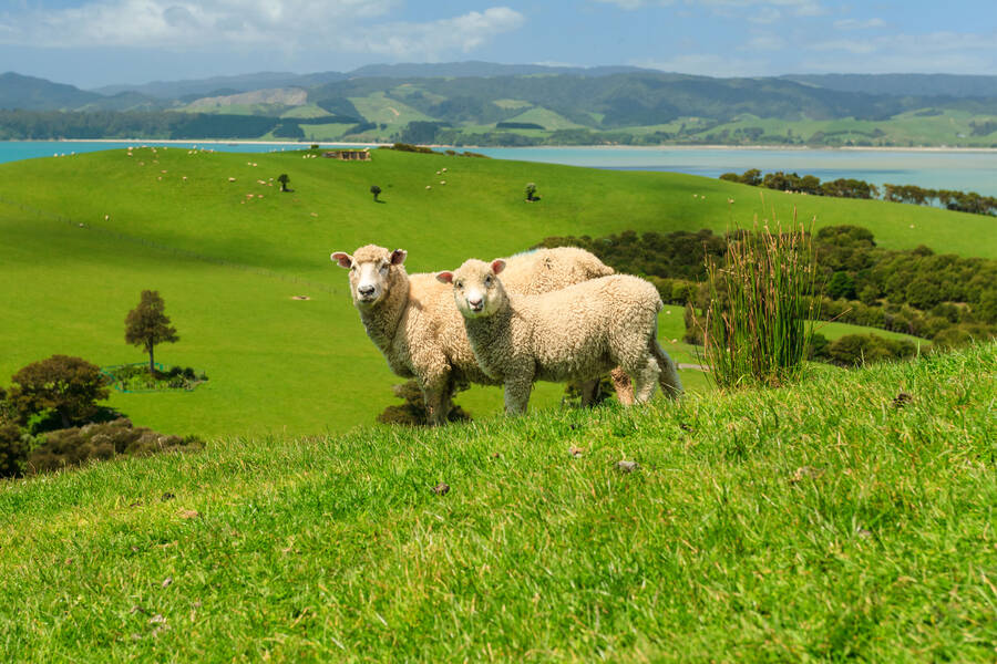 6PR Radio Listen Live - 882 kHz AM, Perth, Australia | Online Radio Box