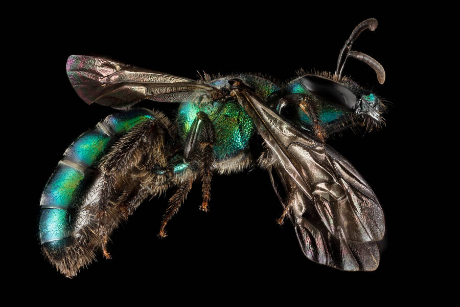 The Team 980 Listen Live - Washington, United States | Online Radio Box