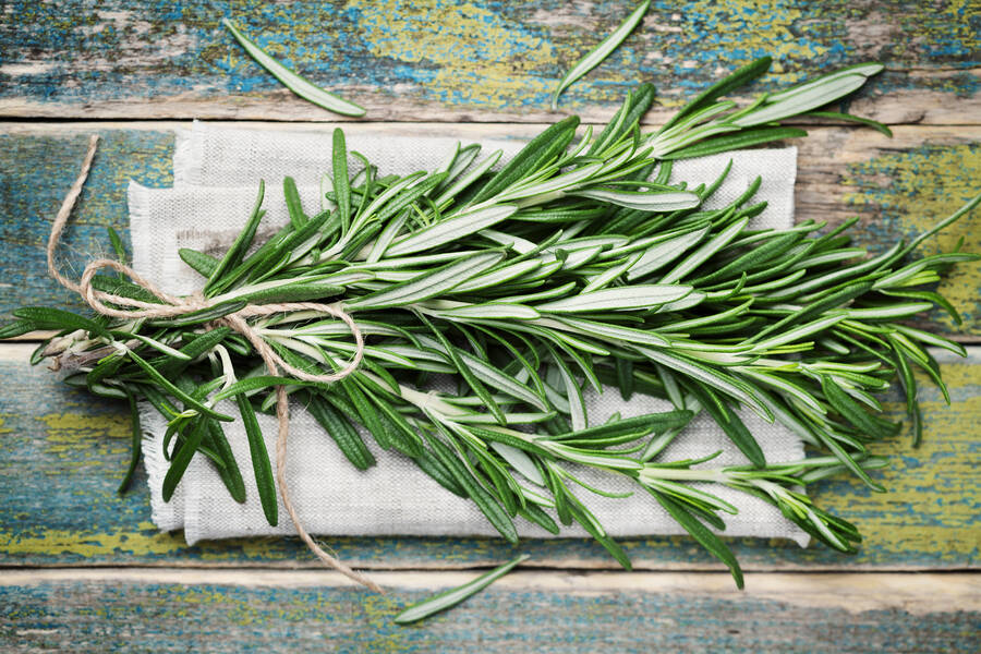 KTTS FM Listen Live - 94.7 MHz FM, Springfield, United States | Online ...