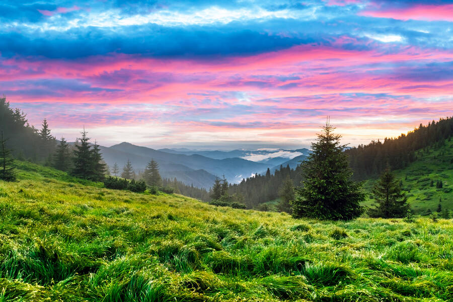 CBC Radio One Listen Live - 93.5 MHz FM, London, Canada | Online Radio Box