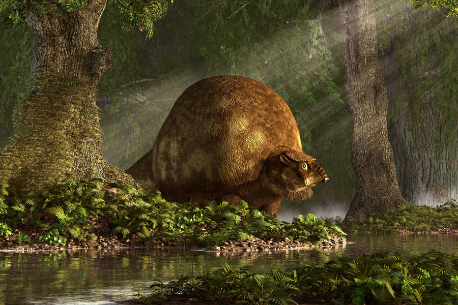 News Talk 780 KOH Listen Live - Reno, United States | Online Radio Box