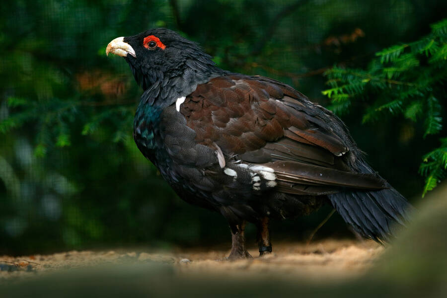 KLBJ News Radio 590 AM Listen Live - Austin, United States | Online ...