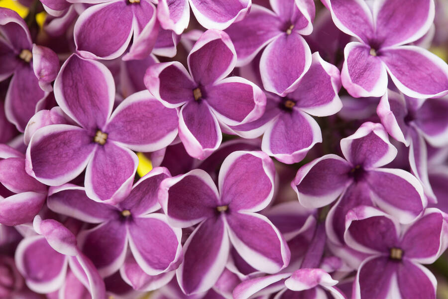 La Troja Radio en Vivo - Barranquilla, Colombia | Online Radio Box