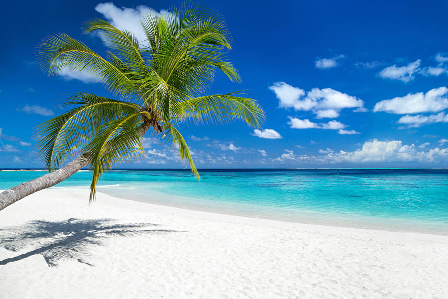 Thaalam live hören - Zug, Schweiz | Online Radio Box