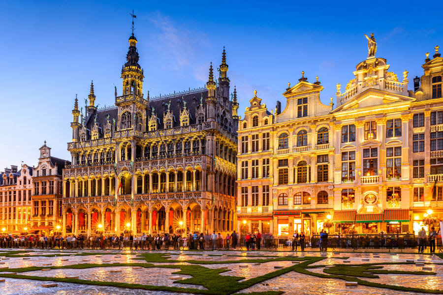 WMFO Listen Live - 91.5 MHz FM, Medford, United States | Online Radio Box