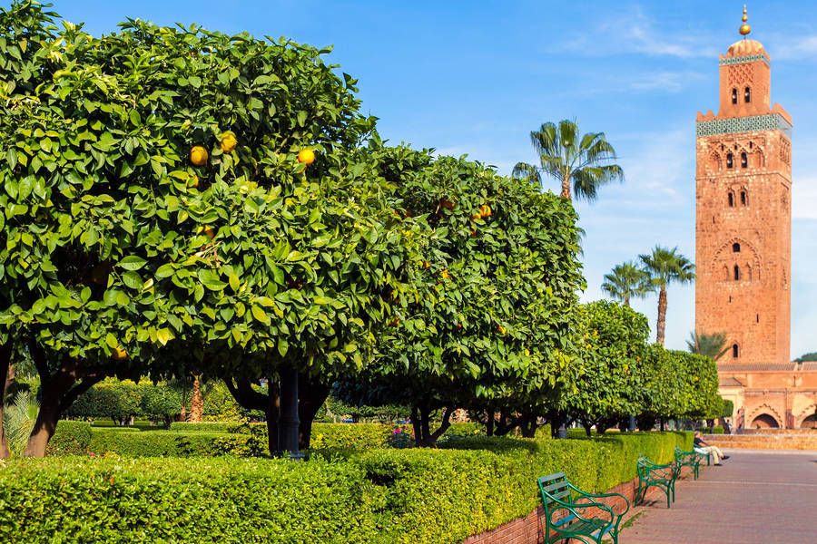 Current time in Morocco, Local Time Zone, DST information | Dayspedia