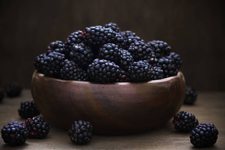 WPON - AM 1460 Listen Live - Walled Lake, United States | Online Radio Box