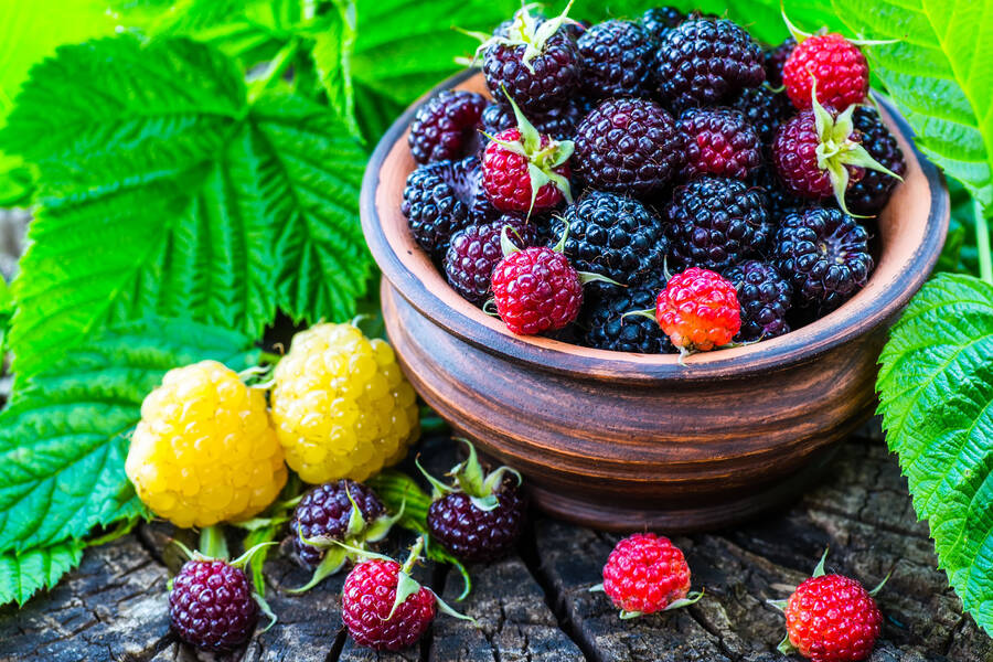 Absolute Radio - 10s live - London, United Kingdom | Online Radio Box