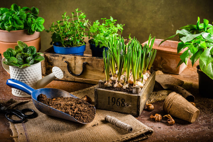 Newstalk 1010 Listen Live - CFRB, 1010 kHz AM, Toronto, Canada | Online ...