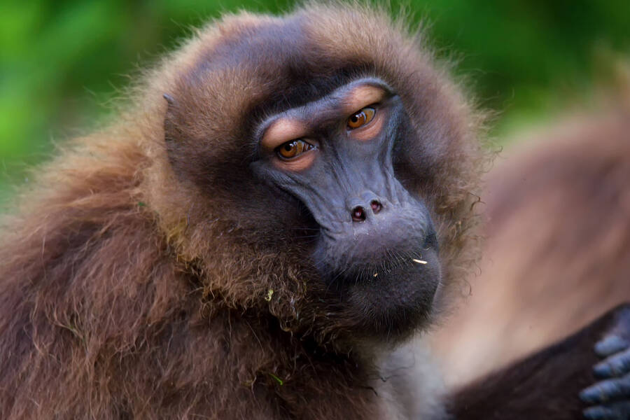 101.5 WQUT Listen Live - Johnson City, United States | Online Radio Box