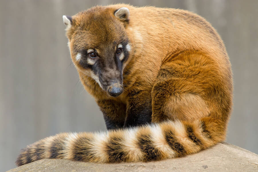 Newsradio 610 WIOD Listen Live - Miami, United States | Online Radio Box