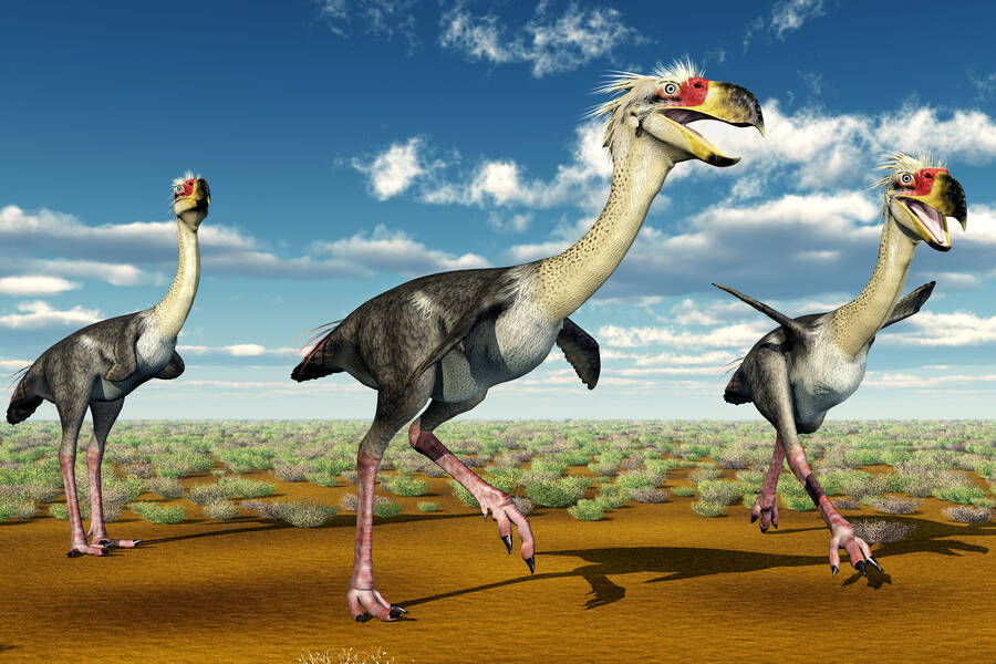 860 AM The Answer Listen Live - San Francisco, United States | Online ...