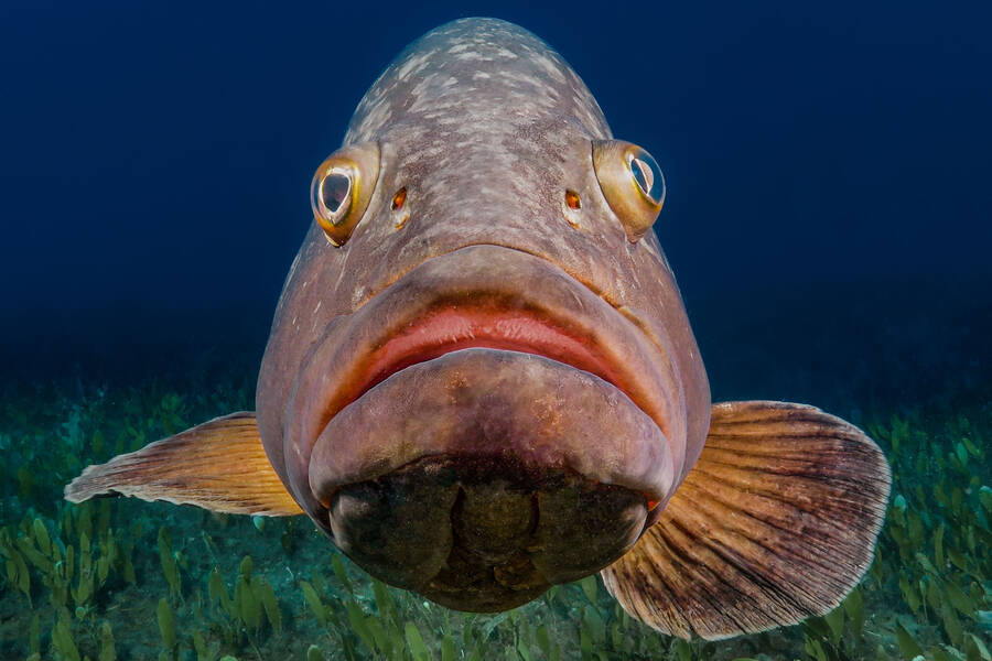 GNFM Listen Live - 107.7 MHz FM, Goulburn, Australia | Online Radio Box