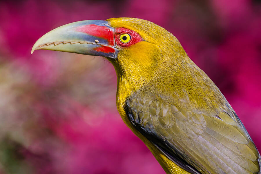 Online Radio Box - listen to the radio online for free