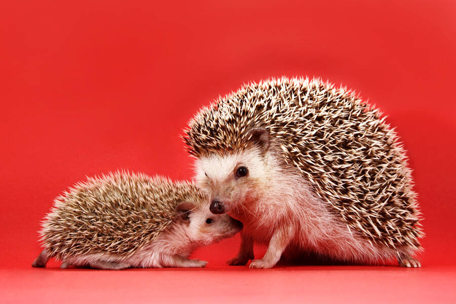 Nau FM Listen Live - 96.5 MHz FM, Port Moresby, Papua New Guinea ...