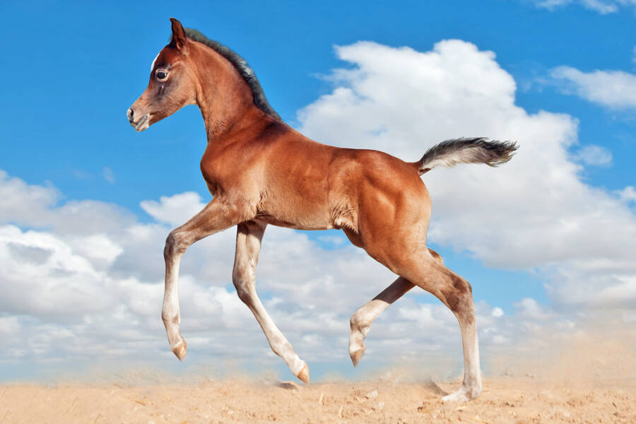 Top Congo FM en Direct - 88.4 MHz FM, Kinshasa, RD Congo | Online Radio Box