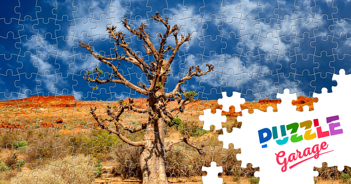 Dry tree in savannah Jigsaw Puzzle (Countries, South Africa) | Puzzle ...