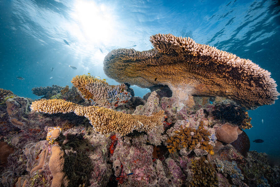 Gospel 1360 AM - KWWJ Listen Live - Baytown, United States | Online ...