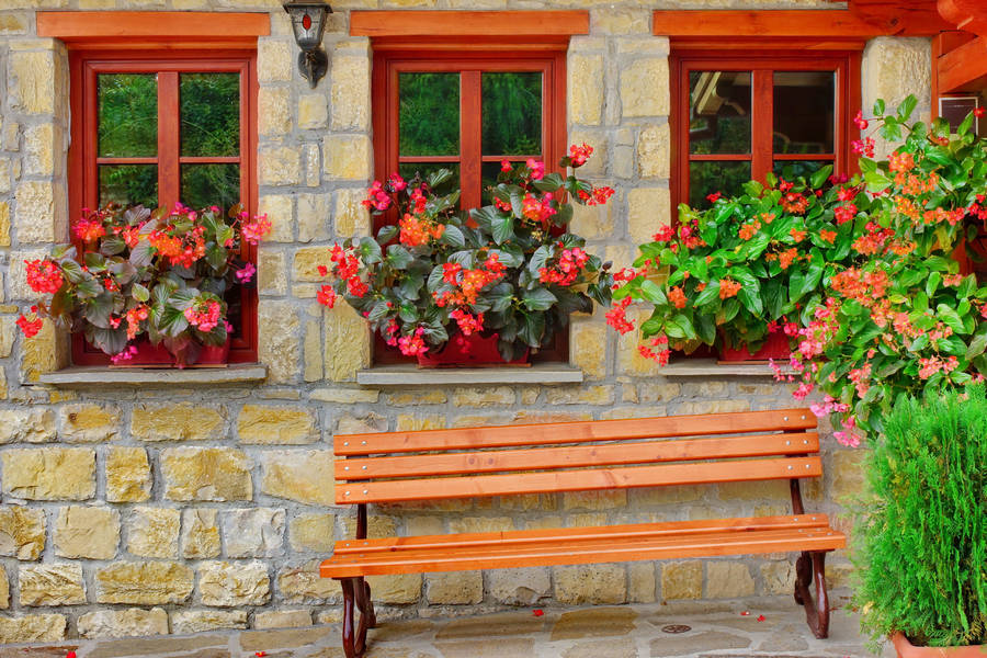 WBEJ Listen Live - 1240 kHz AM, Elizabethton, United States | Online ...