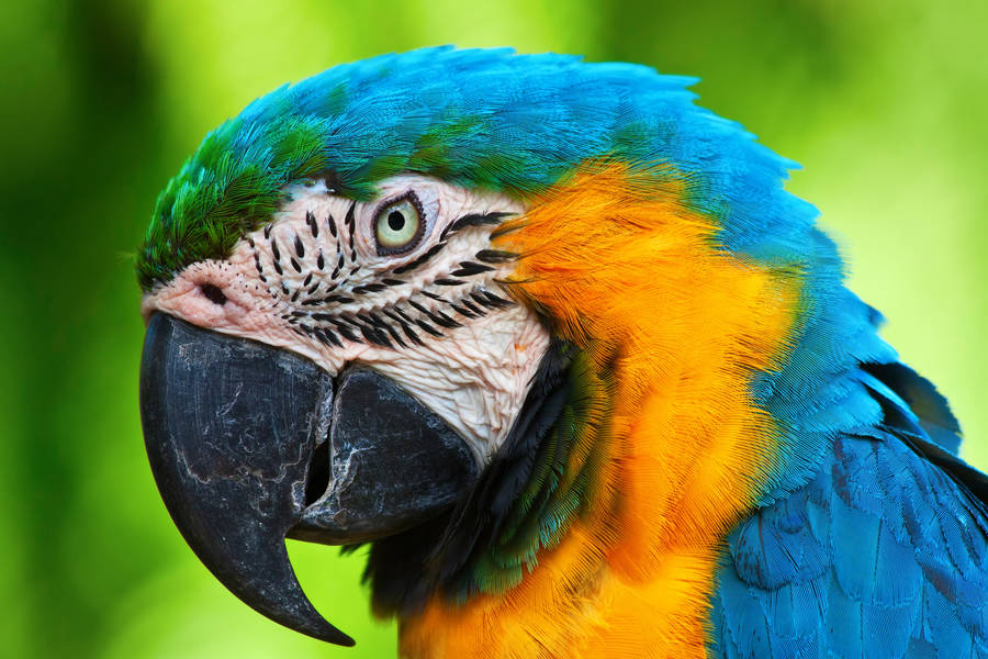 101.5 WQUT Listen Live - Johnson City, United States | Online Radio Box