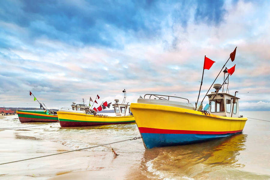 Babnet Tunisia en Direct - Tunis, Tunisie | Online Radio Box