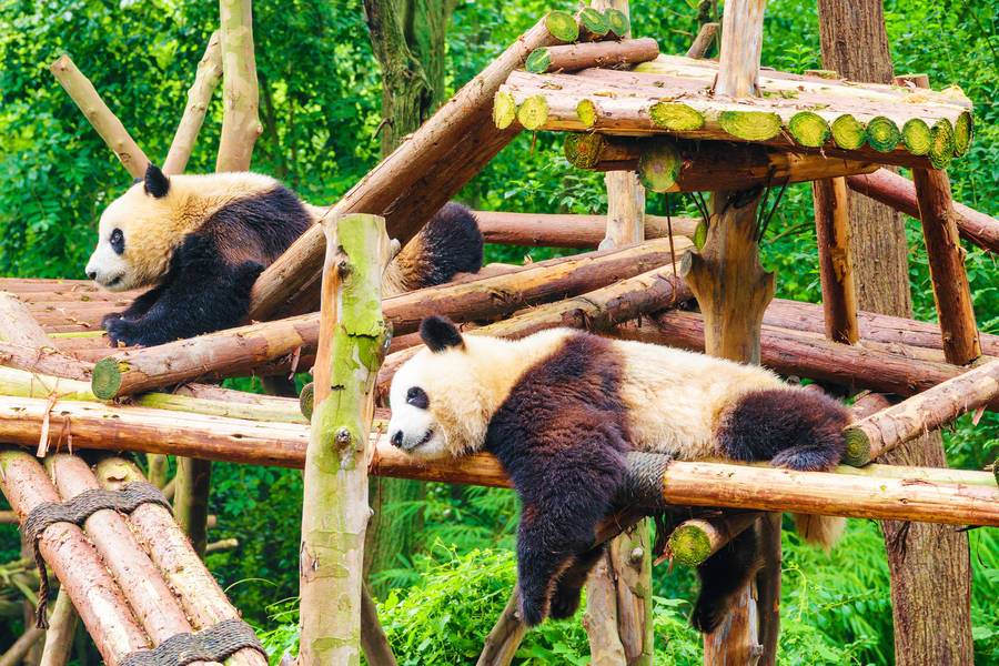 Radio Kan Reka Listen Live - 100.1-100.3 MHz FM, Tel Aviv, Israel ...