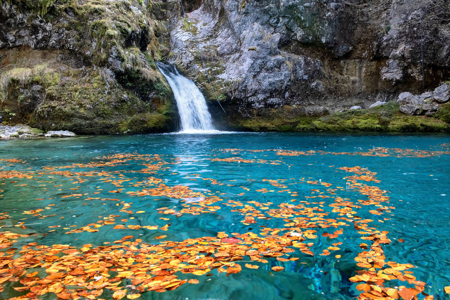 KEXP 90.3 FM Listen Live - Seattle, United States | Online Radio Box