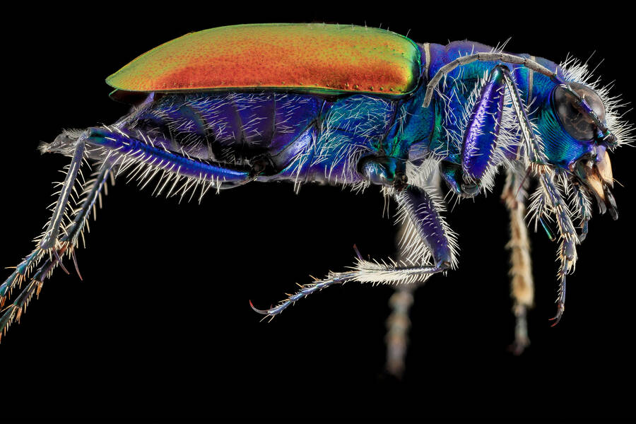 Ajoin Music en Direct - 107.8 MHz FM, Aalst, Belgique | Online Radio Box