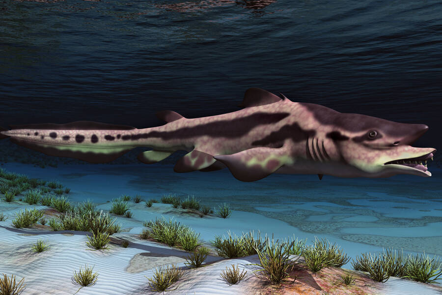 WMSK FM Listen Live - 101.3 MHz FM, Sturgis, United States | Online ...