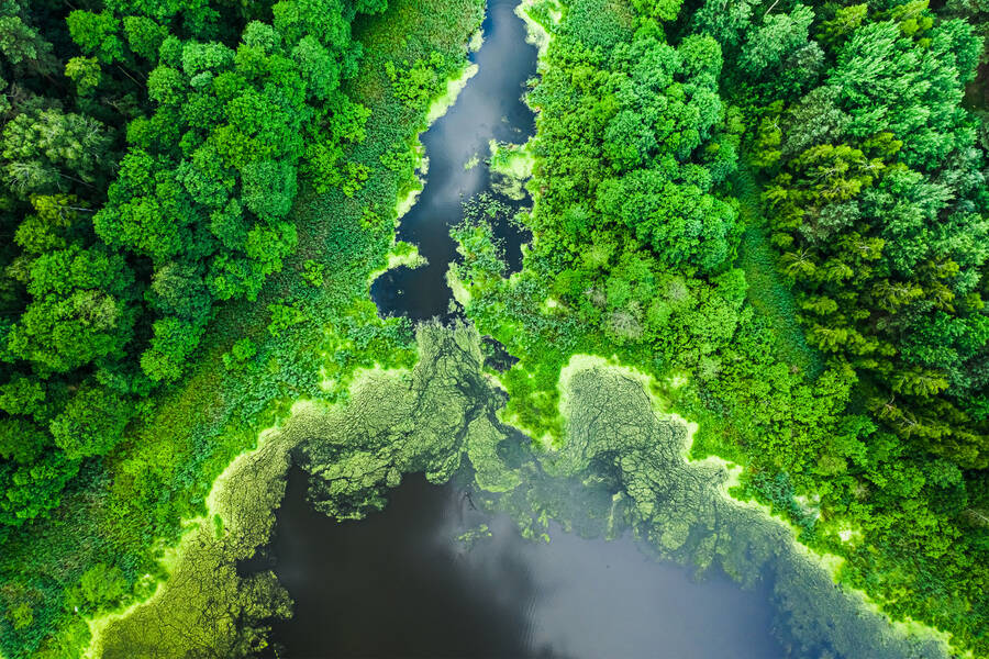 Magic 98 Listen Live - WMGN, 98.1 MHz FM, Madison, United States ...