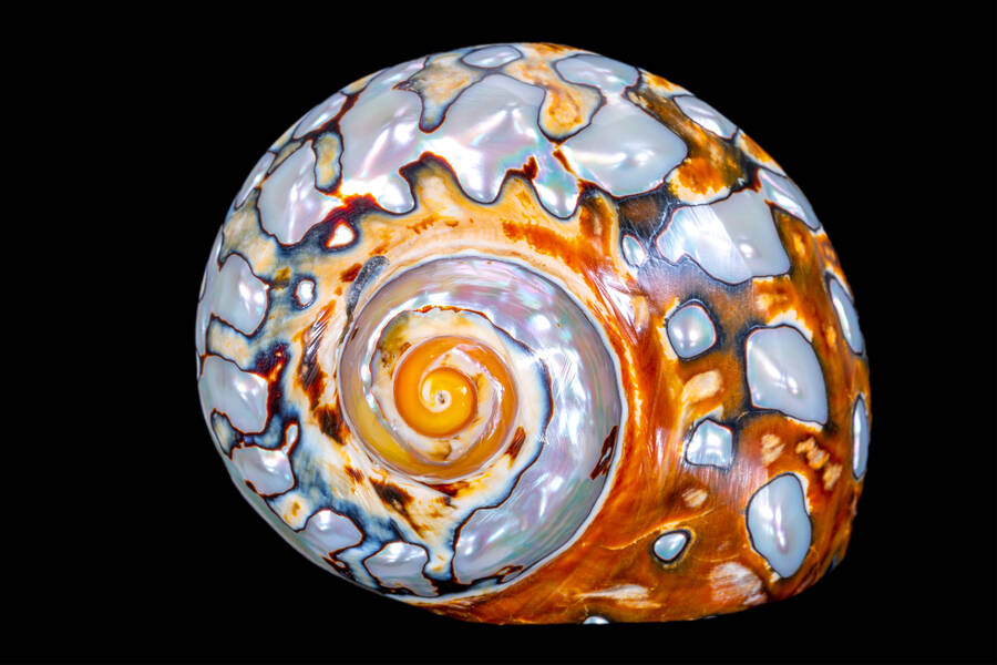 105 WQSB Listen Live - 105.1 MHz FM, Albertville, United States ...