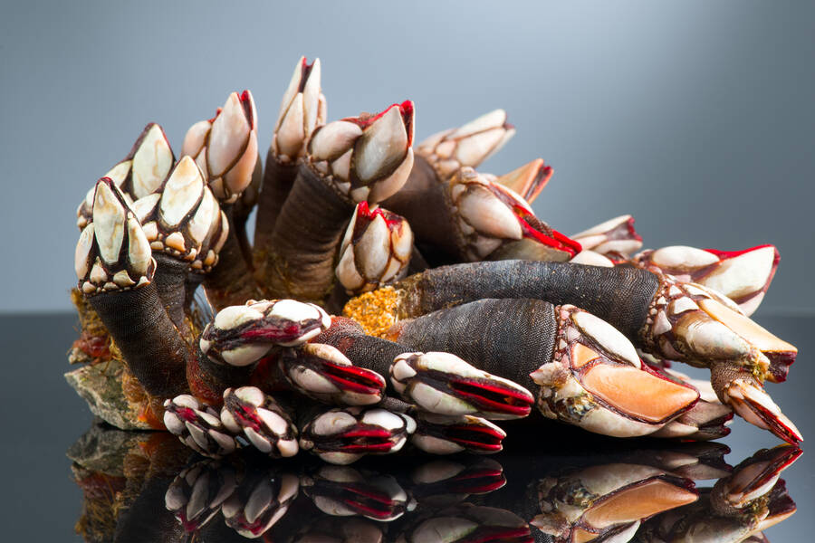 Smooth Radio West Midlands live - 105.7 MHz FM, Birmingham, United ...