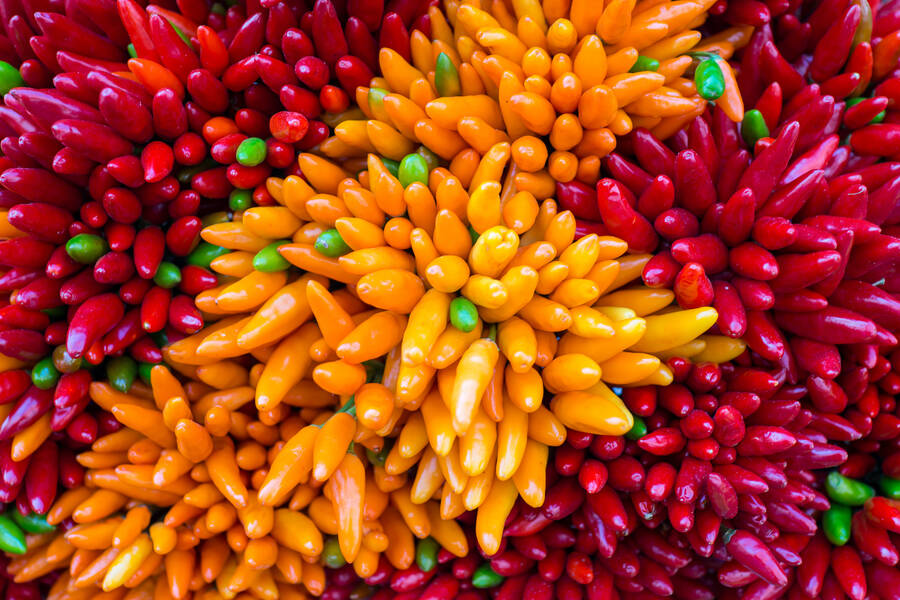 WDCX 99.5 Listen Live - Buffalo, United States | Online Radio Box