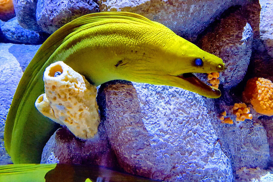 Easy 93.1 Listen Live - Miami, United States | Online Radio Box