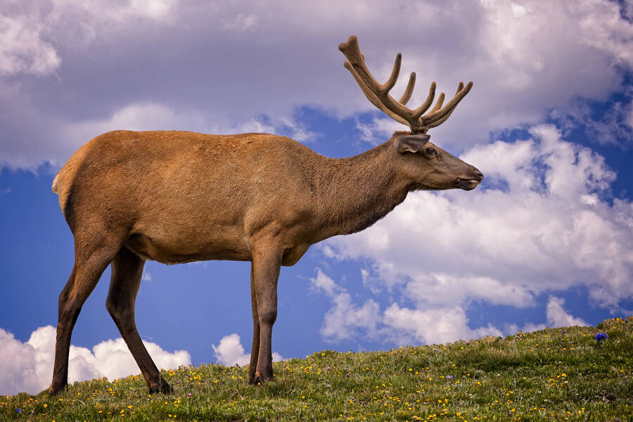 100.7 WLEV Listen Live - Allentown, United States | Online Radio Box