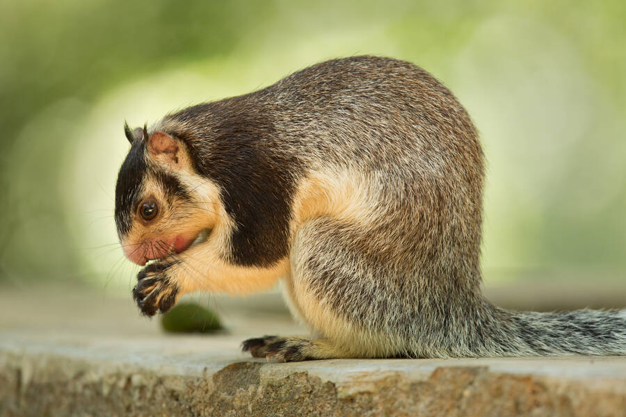 Q97 Listen Live - 97.3 MHz FM, Redding, United States | Online Radio Box