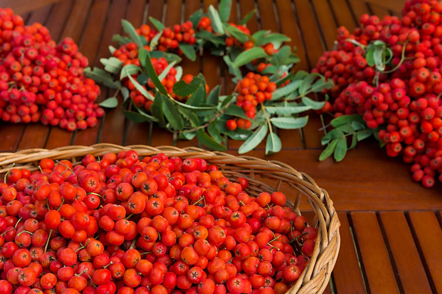 La Troja Radio en Vivo - Barranquilla, Colombia | Online Radio Box