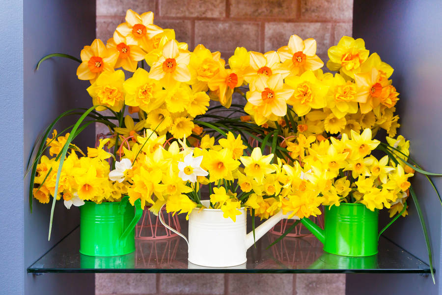 Mix 102.5 en Vivo - 102.5 MHz, FM, Cali, Colombia | Online Radio Box