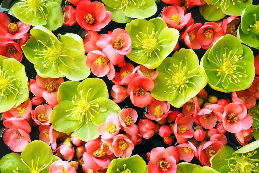 WRIU 90.3 FM Listen Live - Kingston, United States | Online Radio Box