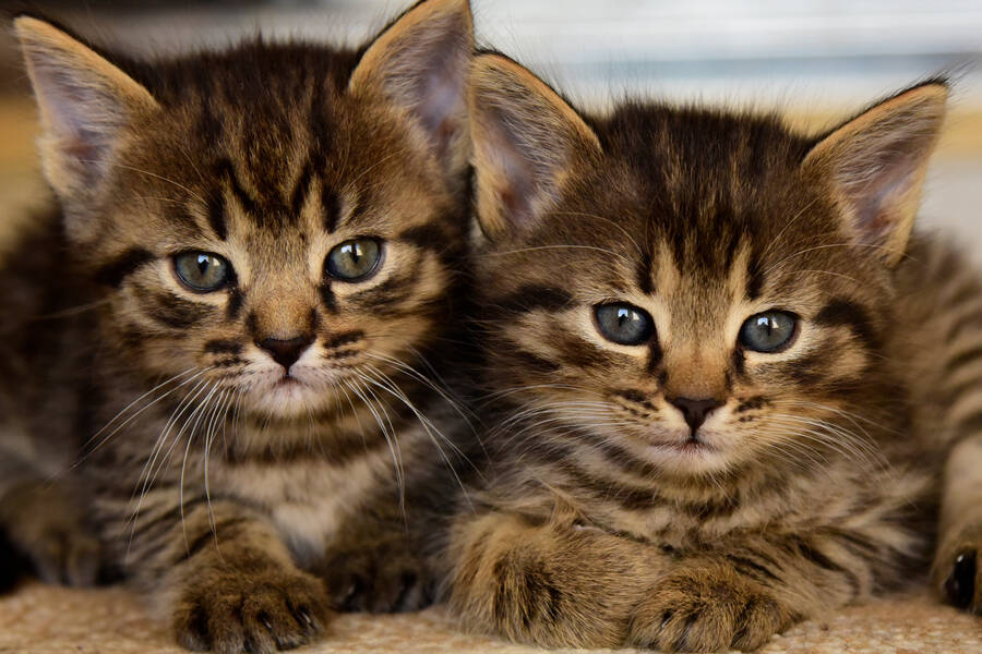 98.7 WFGR Listen Live - Grand Rapids, United States | Online Radio Box