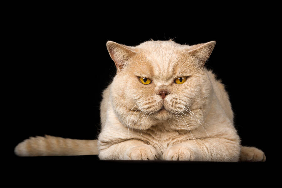 Y107 Listen Live - 106.9 MHz FM, Jefferson City, United States | Online ...