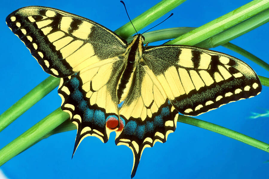 Y108 Listen Live - 107.9 MHz FM, Pittsburgh, United States | Online ...