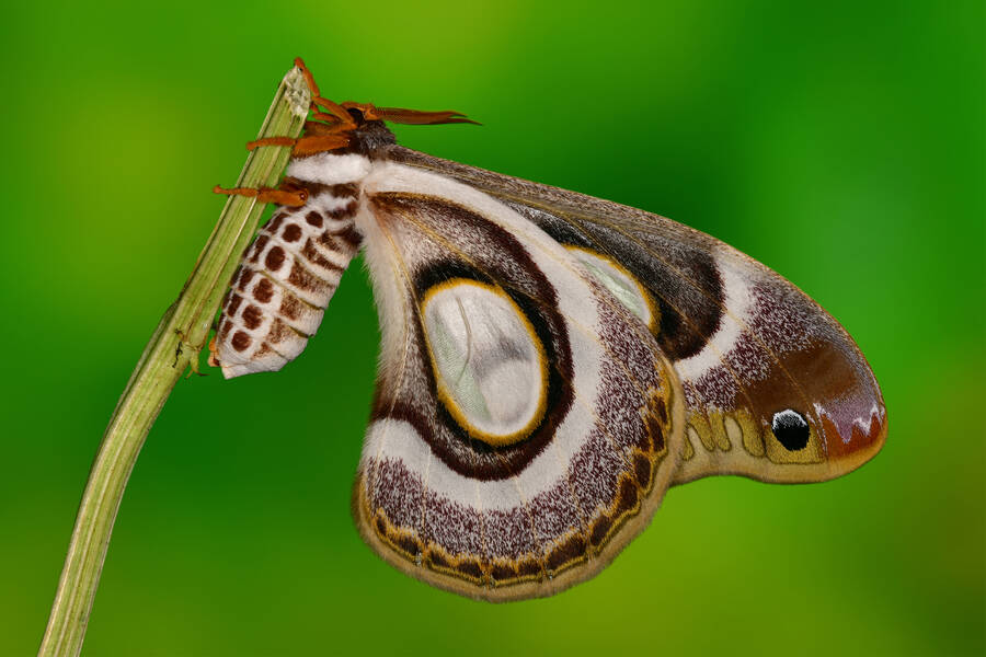 Radio Uruguay 1050 AM online - Señal en vivo - Montevideo, Uruguay | Online Radio Box