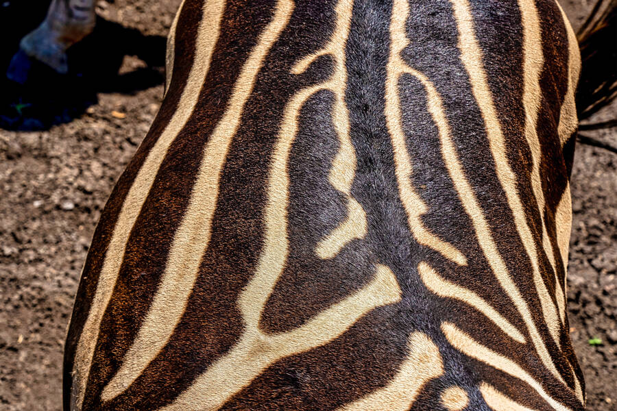 Mar FM en Vivo - 99.7 MHz FM, Veracruz, México | Online Radio Box