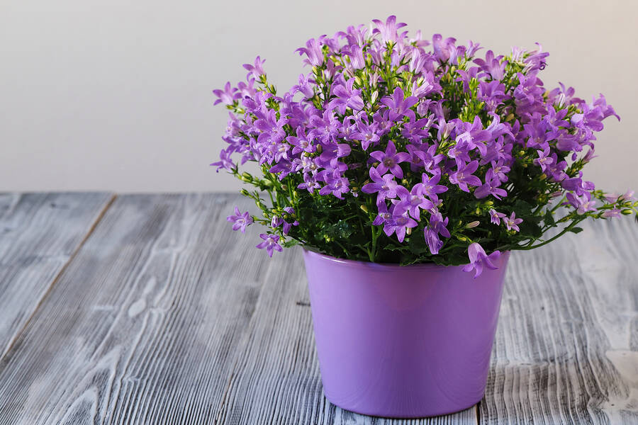 The Mix 100.9 - WMXE Listen Live - South Charleston, United States ...