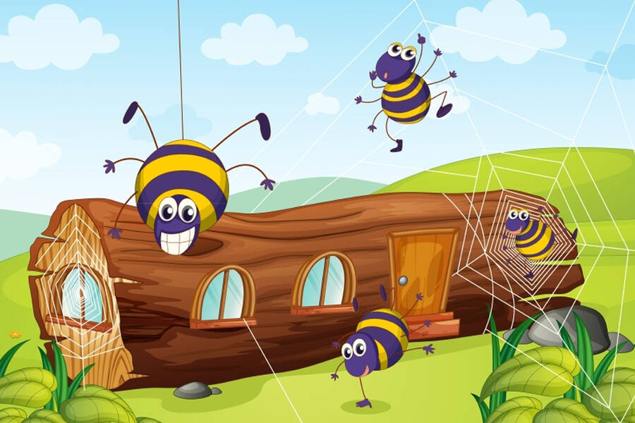 KREM Radio Listen Live - 91.1-101.1 MHz FM, Belize City, Belize ...